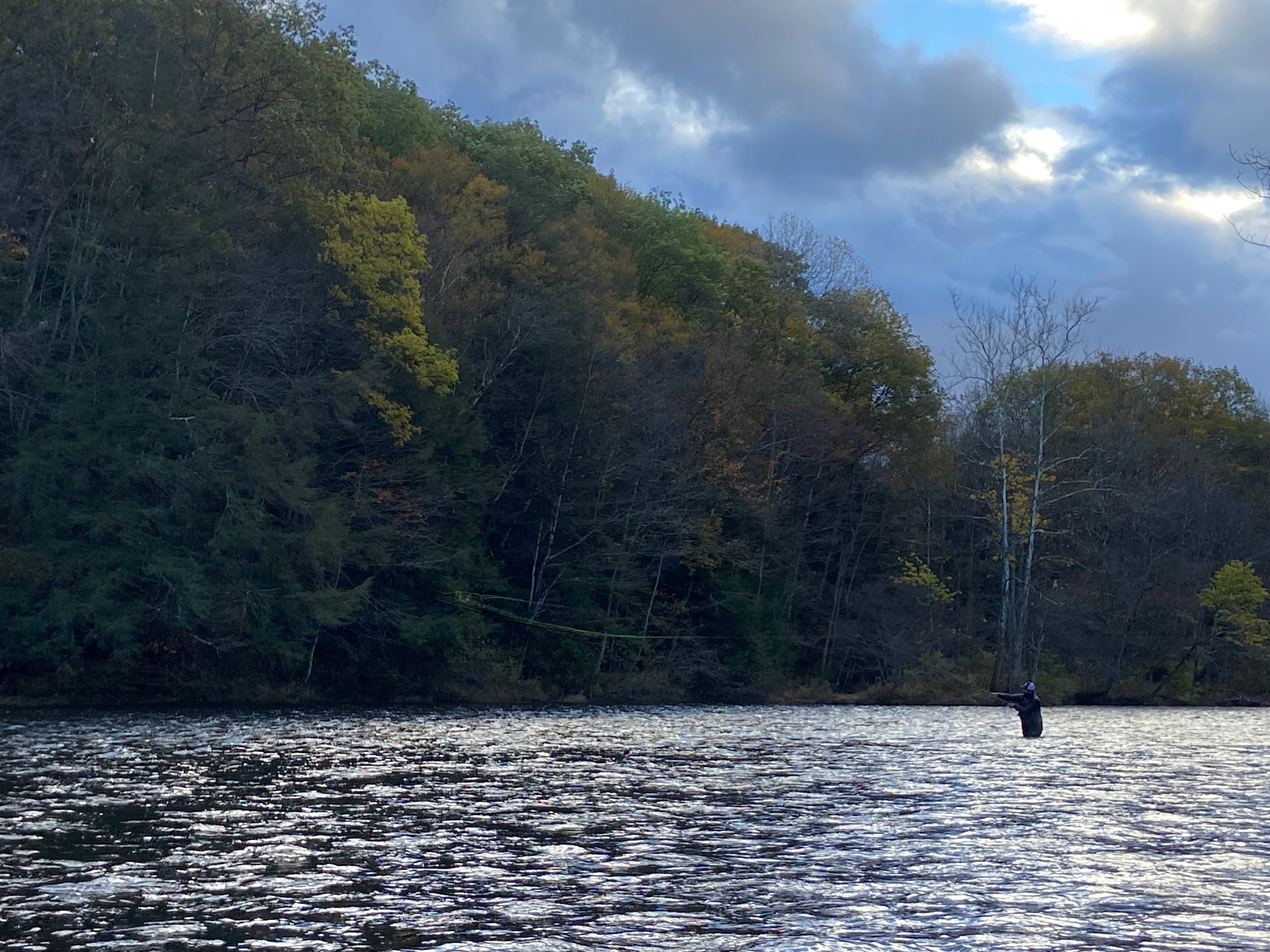 Royal Wulff Fly Fishing